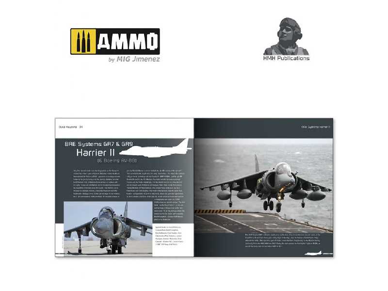 Bae Systems Harrier Ii & Boeing Av-8b Harrier Ii (Plus)