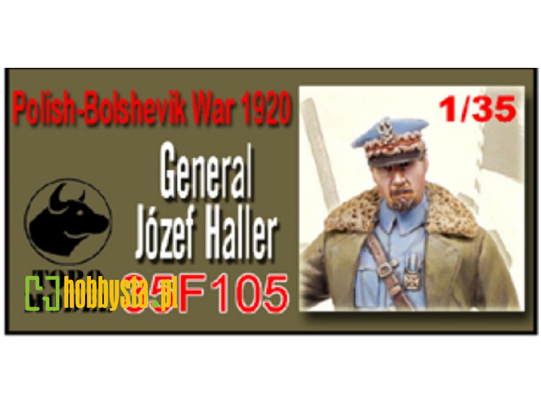 Generał Józef Haller - Zaślubiny z morzem, Zatoka Pucka 1920