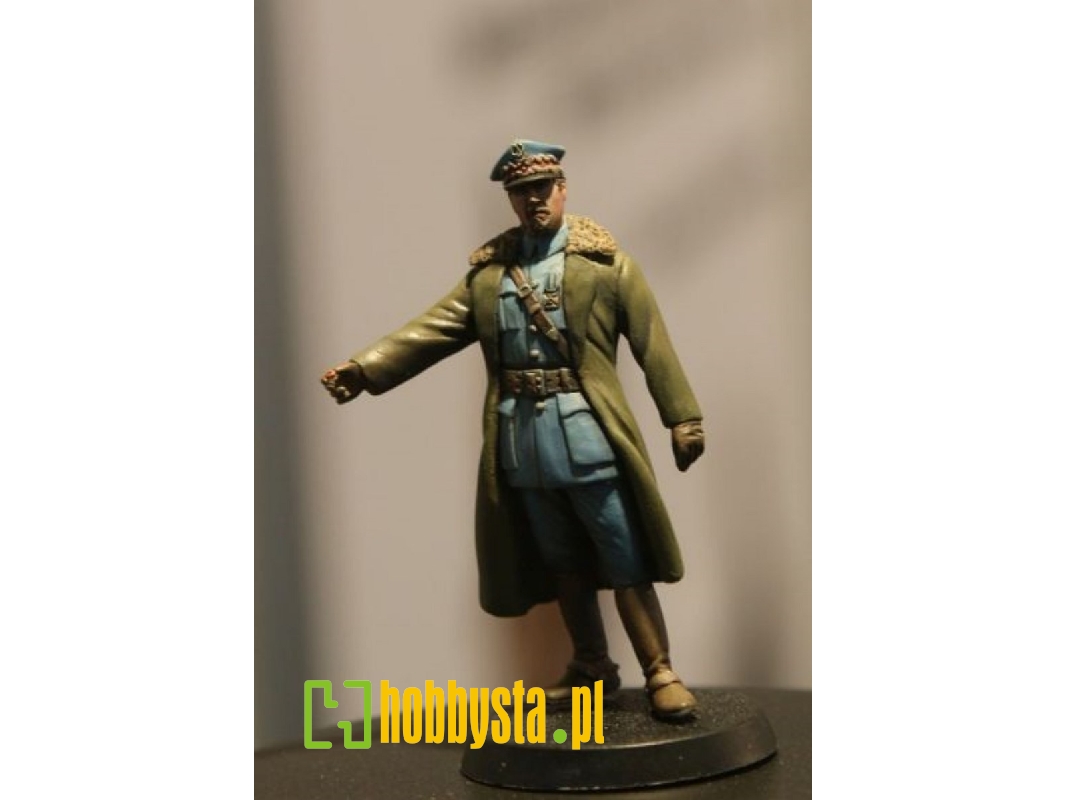 Generał Józef Haller - Zaślubiny z morzem, Zatoka Pucka 1920