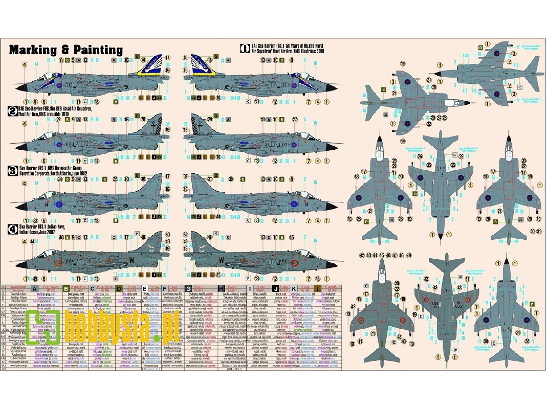 Harrier Frs.1 '50 Years 800 Nas'